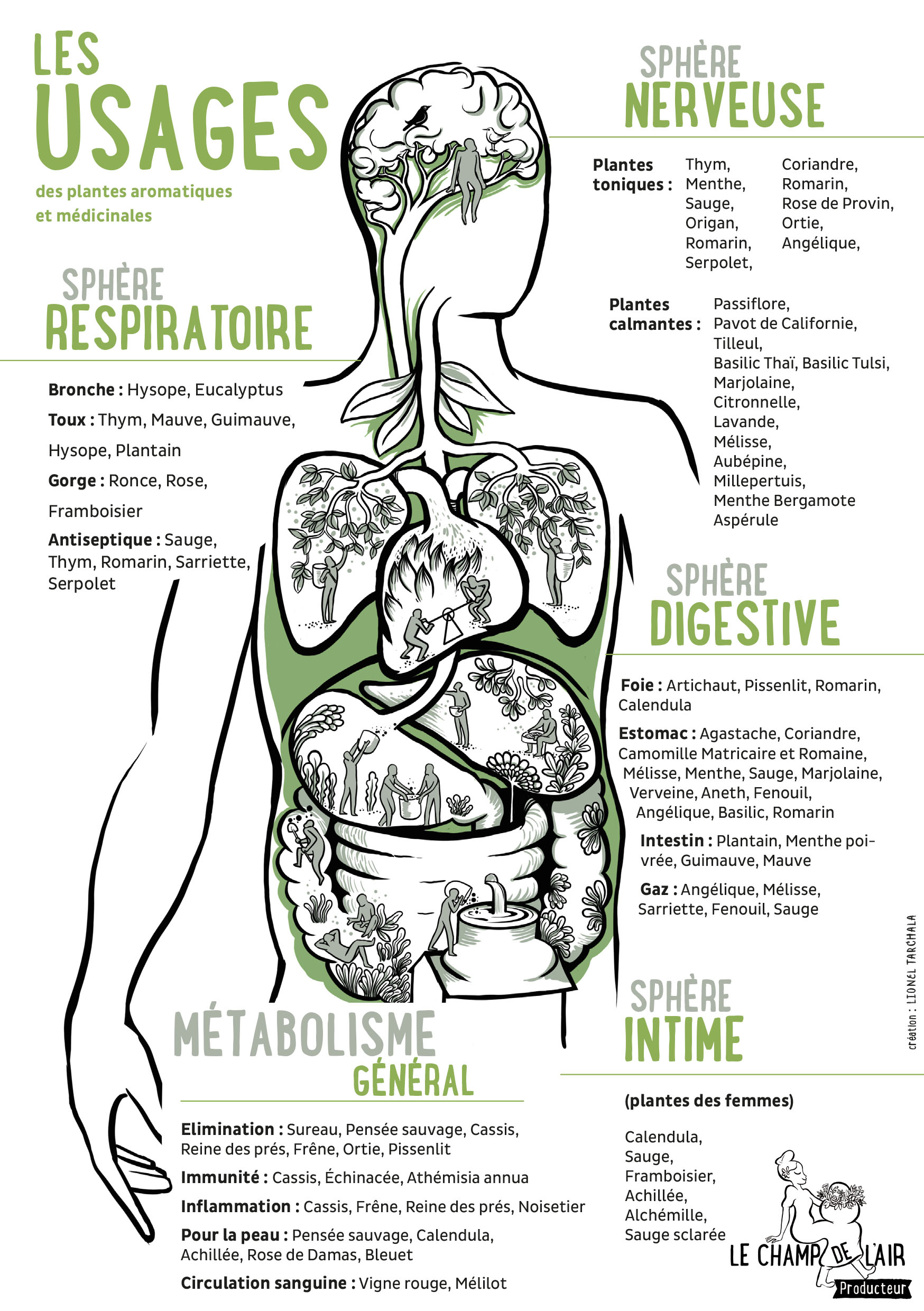 Lionel Tarchala illustrateur